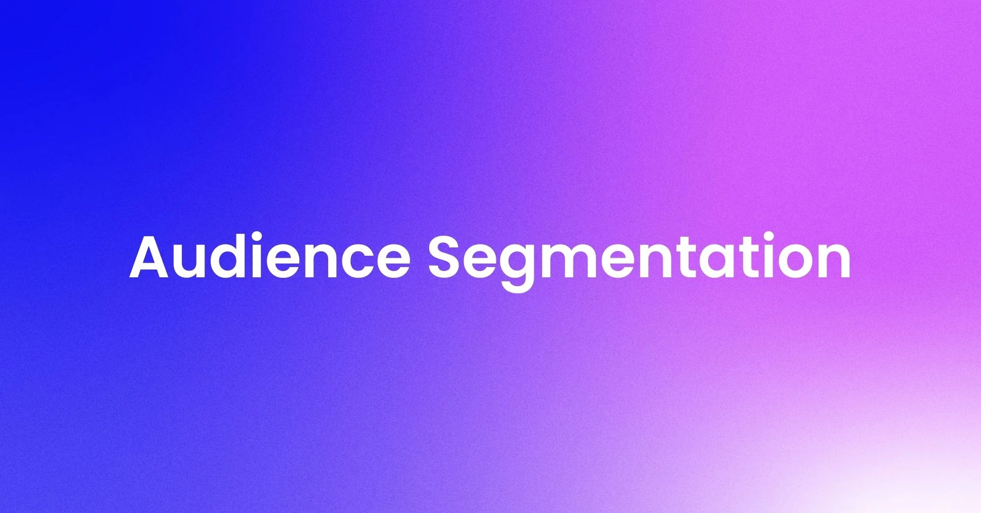 What is Audience Segmentation? - Marketing Explained| Samhub.io